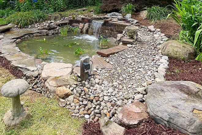 Back Yard Swales Side Yard Permaculture Food Forest | Central Texas