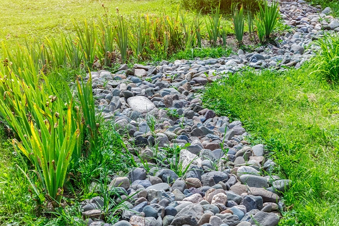 What is a Swale Drain and How Will it Help Your Yard?