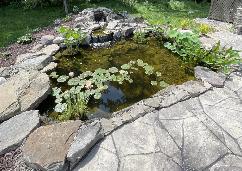 Average Pond Size: What is it and Why is it Important?