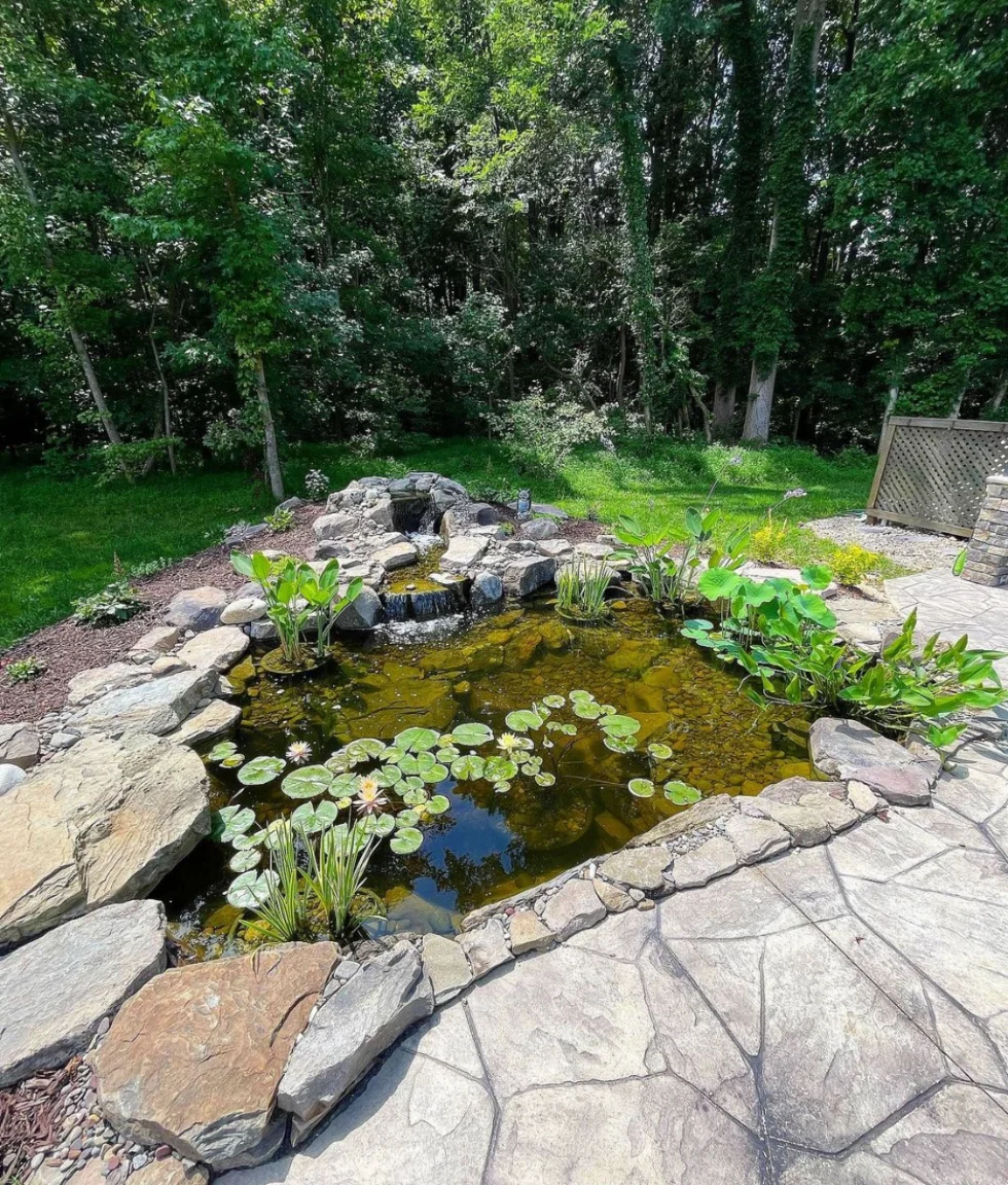 Serene Crystalline Koi Pond Project | Chesapeake Beach, MD