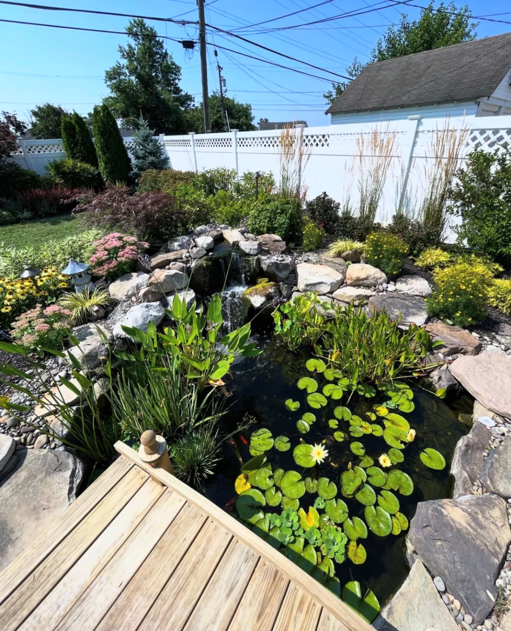 Breathtaking Backyard Koi Pond Build | Baltimore County, MD
