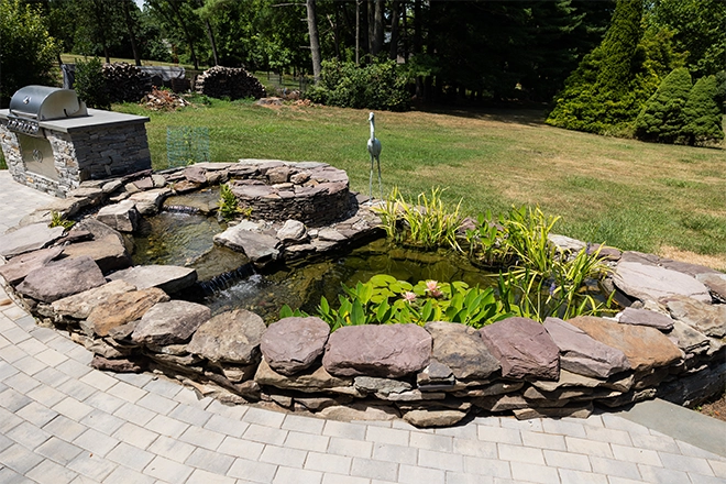 What Koi Pond Health Basics Do Pond Owners Need To Know? 💧