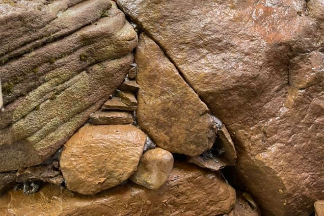 Rocks Around a Pond: Why Do You Need Them In and Around One?