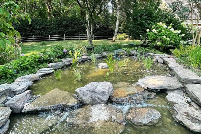 Pond Bog Filters: What Are They and Why Will You Want One?